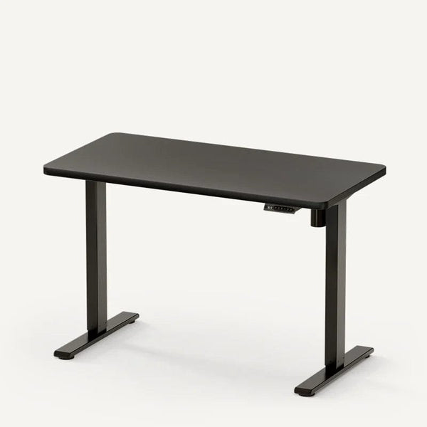 Flexispot Essential Standing Desk (E2 Pro) Chipboard Black – My Home ...