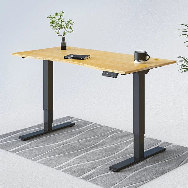 Flexispot Standard Standing Desk (E5) Bamboo – My Home Office Store