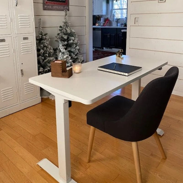 Flexispot Standard Standing Desk (E2) Chipboard White – My Home Office ...